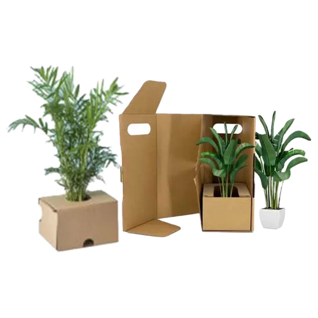 Flower & Plant Boxes Packaging | Buy Quality Online - Packbox India